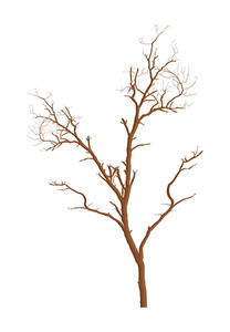 Dead Tree Design Royalty-Free Stock Image - Storyblocks