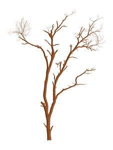 Dead Tree Vector Shape Design Royalty-Free Stock Image - Storyblocks
