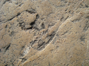 Hard_rock_background Royalty-Free Stock Image - Storyblocks