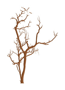 Dead Tree Shape Royalty-Free Stock Image - Storyblocks