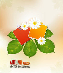 Vector Leaves With Torn Cardboard Royalty-Free Stock Image - Storyblocks