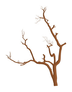 Dead Tree Shape Royalty-Free Stock Image - Storyblocks