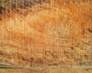 Wood_texture_surface Royalty-Free Stock Image - Storyblocks
