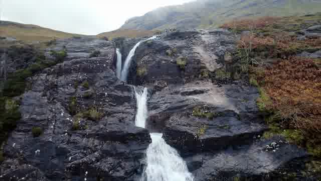 Waterfall | Animals stock footage - Storyblocks