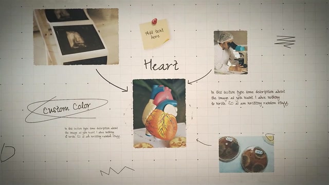 "Science Intro" Intro Templates Royalty-Free - Storyblocks