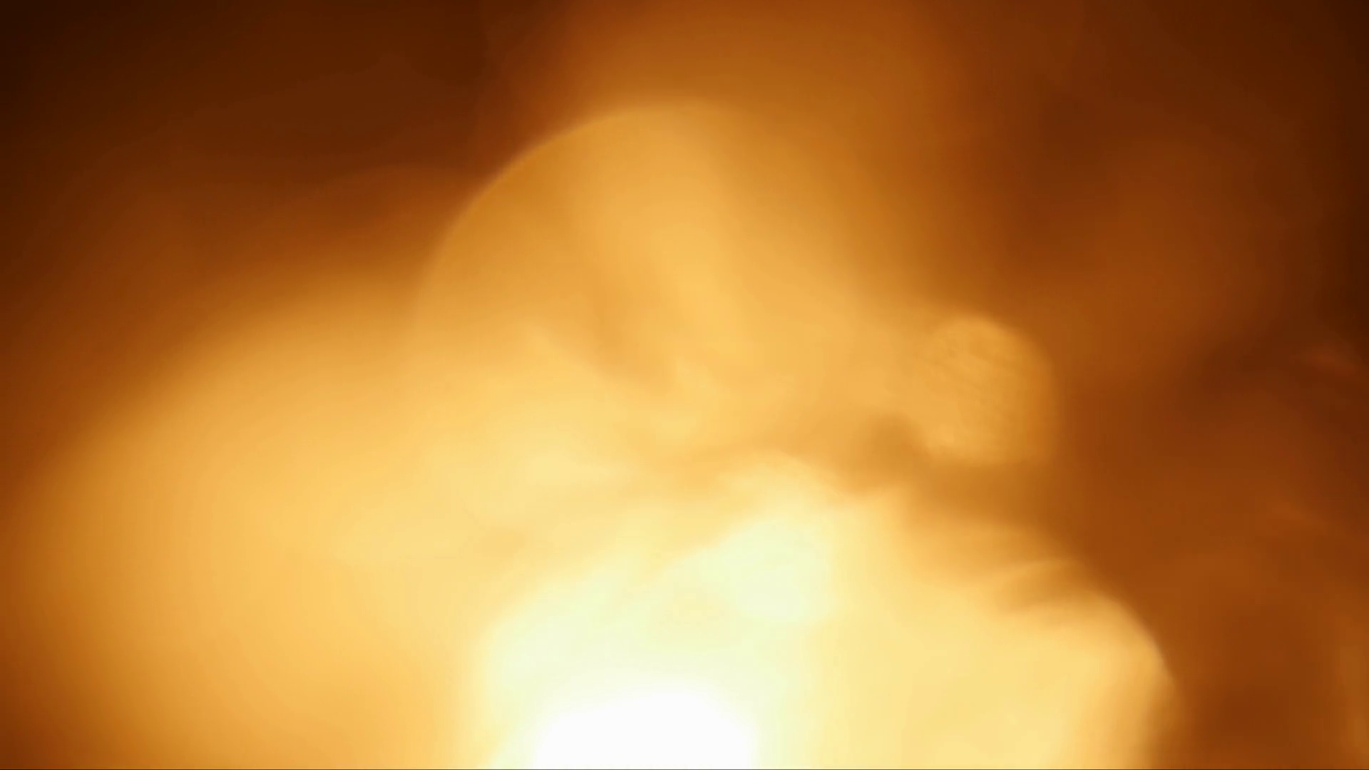 Gold Light Leak Lens Flare Overlay Transition Stock Motion Graphics SBV-352230532 - Storyblocks