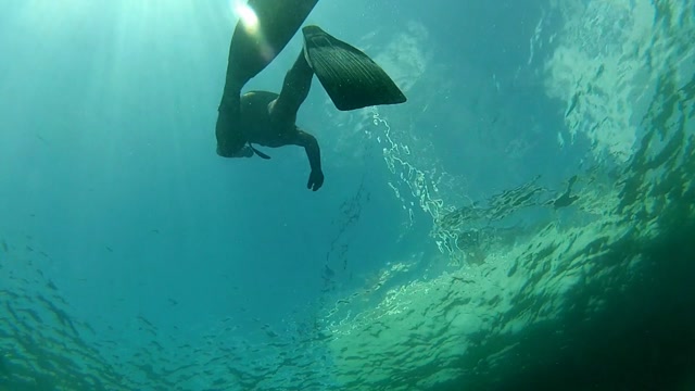 Woman Swimming Sea Stock Footage: Royalty-Free Video Clips - Storyblocks