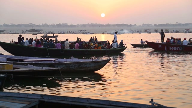 Ganga River | Animals stock footage - Storyblocks