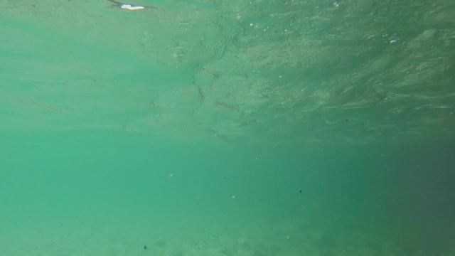 Murky Underwater Shot Stock Footage: Royalty-Free Video Clips - Storyblocks