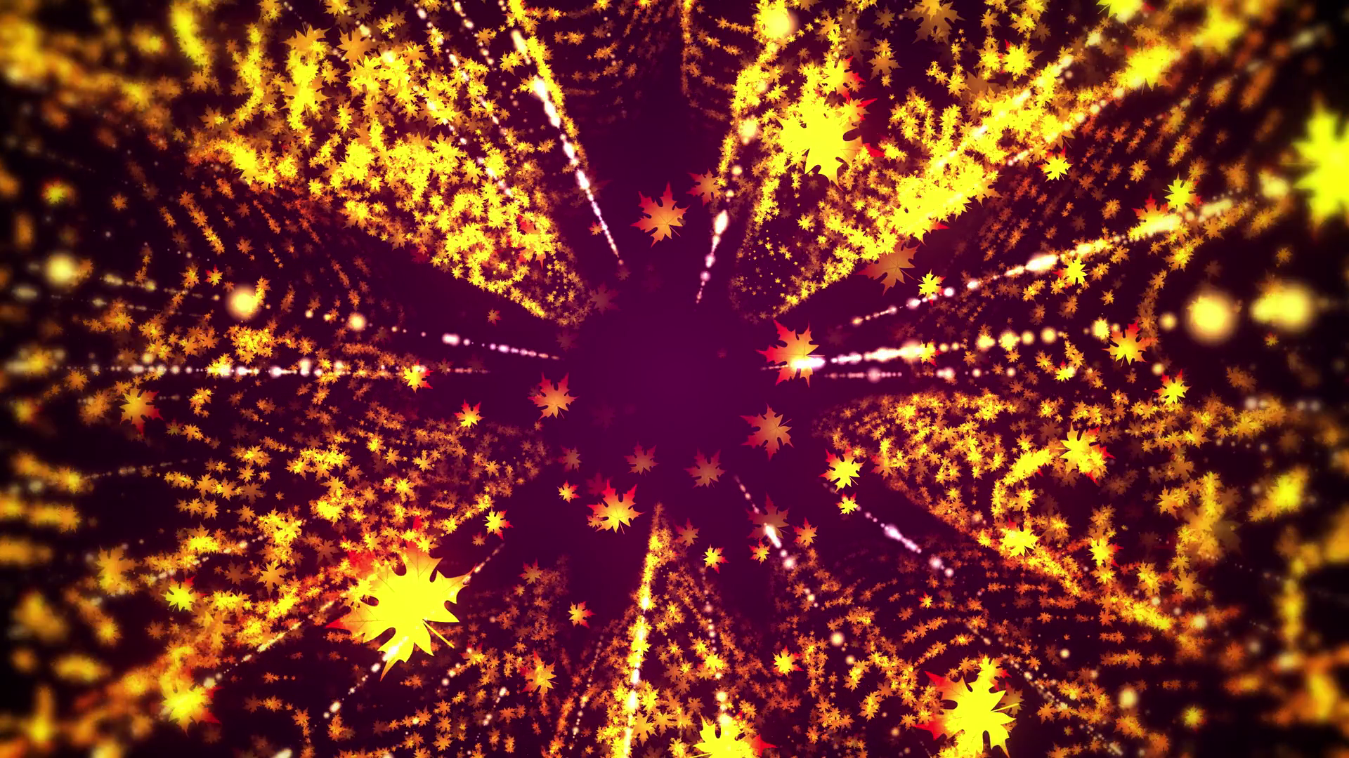 Autumn Leaves Background Animation Autumn Stock Motion Graphics SBV ...