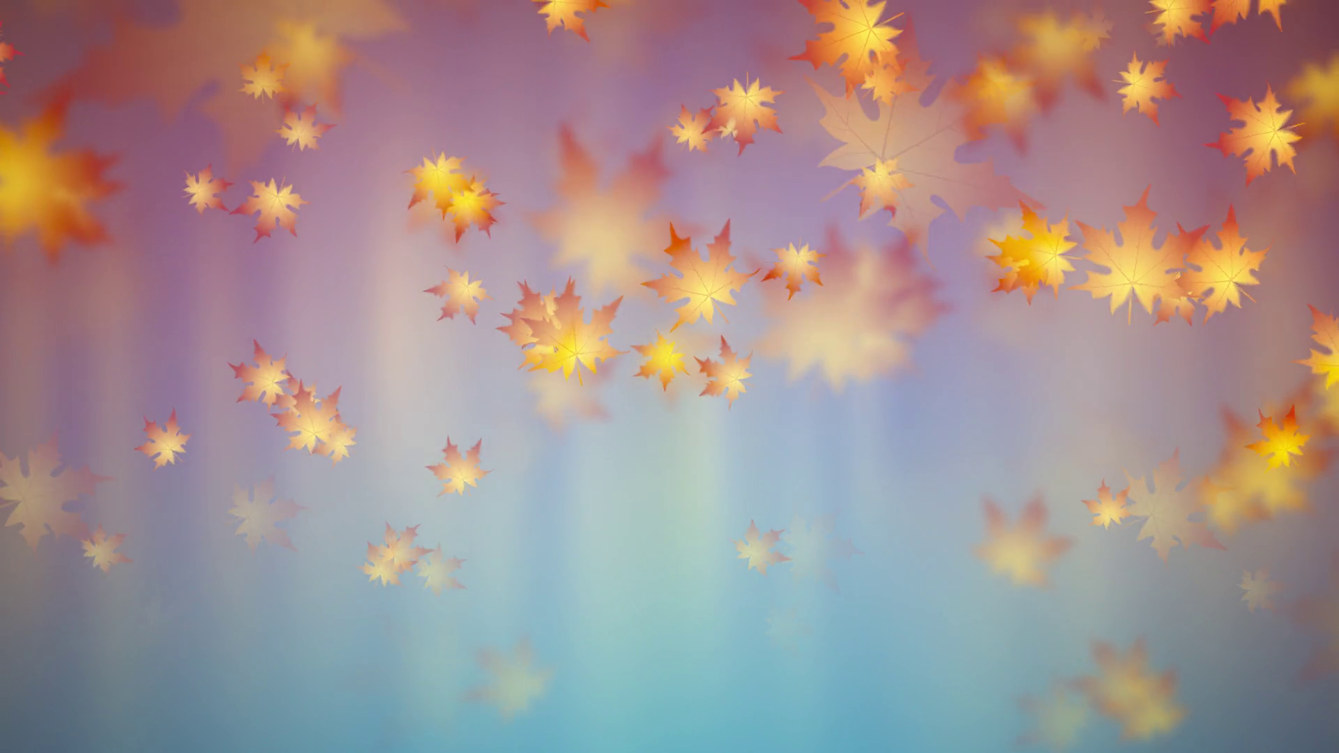 Autumn Leaves Background Animation Autumn Stock Motion Graphics SBV ...