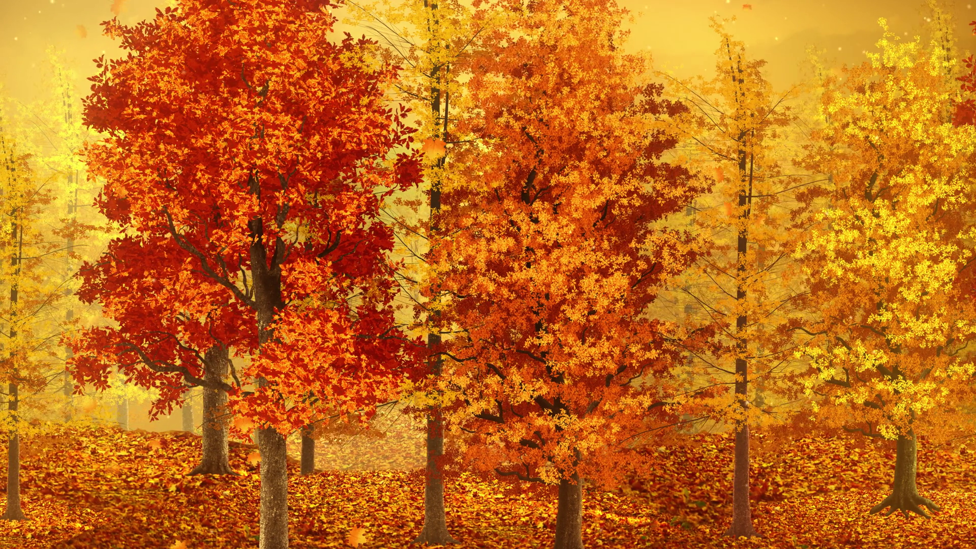 Autumn Leaves Background Animation Autumn Stock Motion Graphics SBV ...