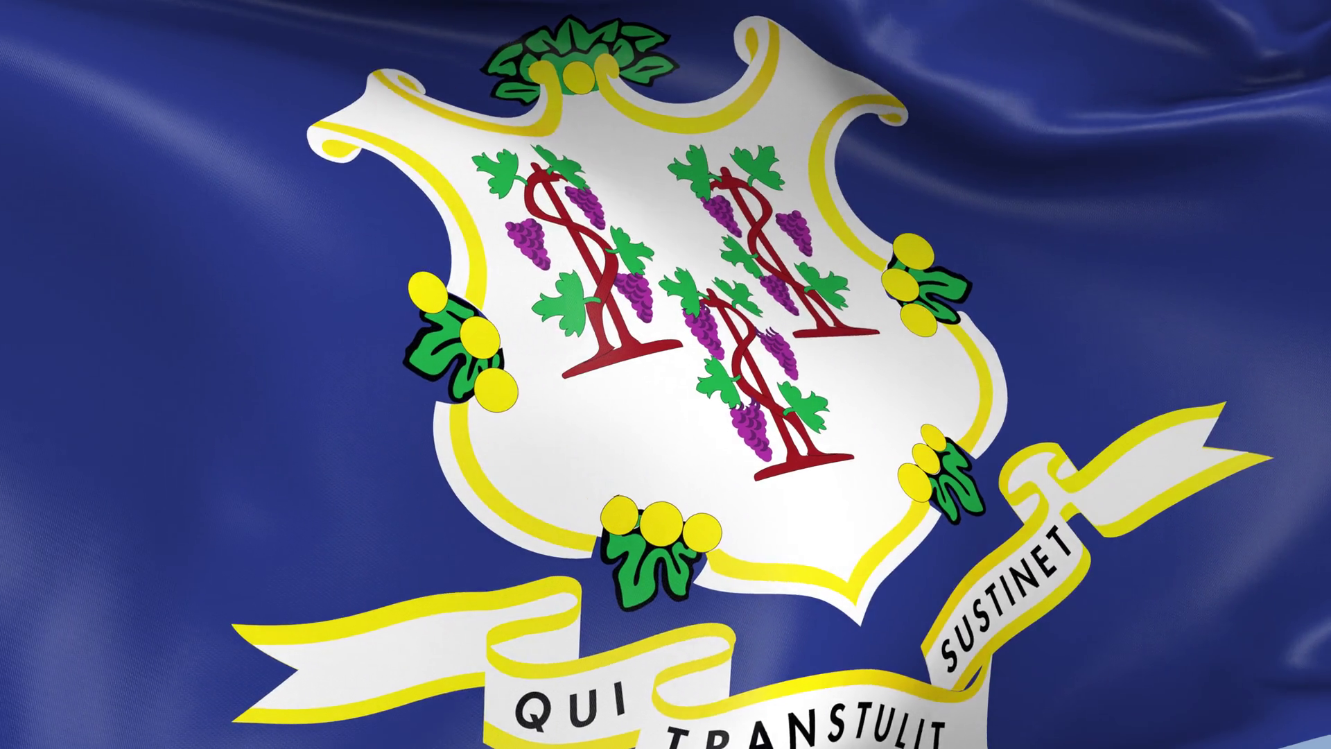 Connecticut State Waving Flag Background Loop Motion Background 00:24 ...