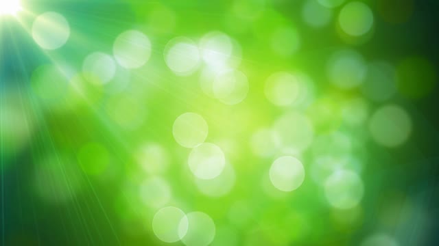 Download 16,254 Green Motion Backgrounds - Storyblocks