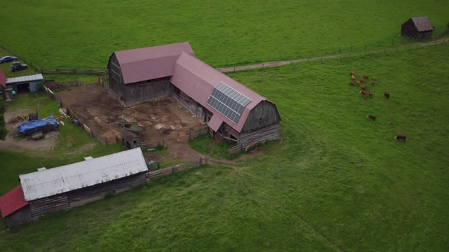 Animal Farm House Stock Footage: Royalty-Free Video Clips - Storyblocks