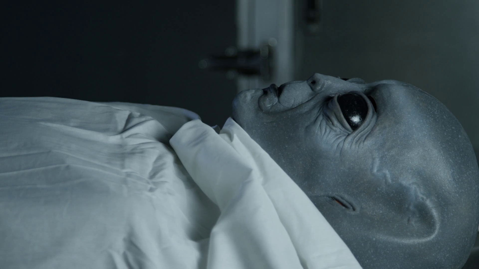 Alien Autopsy - Visitor Looks At Camera Hd Stock Footage SBV-348391600 ...