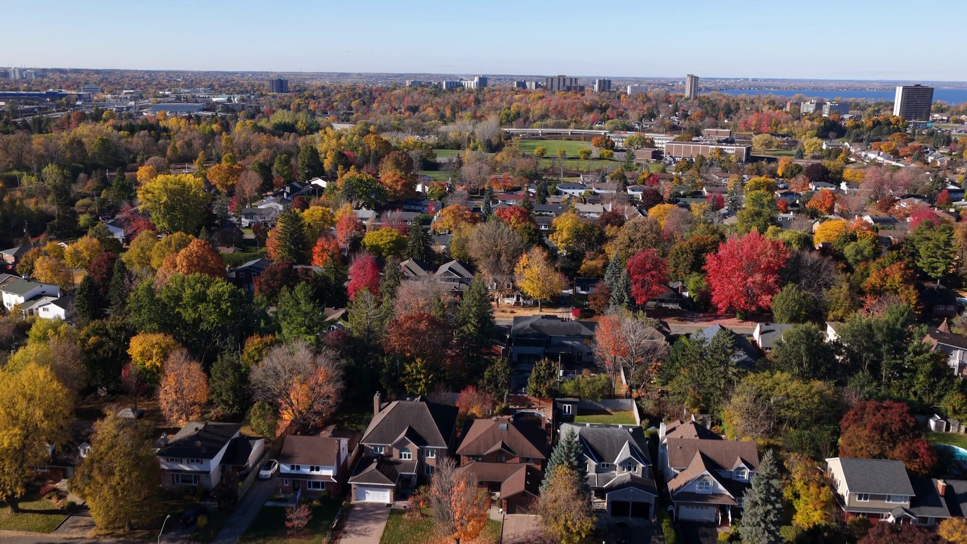 Emerald Ash Borer Tree Infestation Beautiful Stock Footage SBV ...
