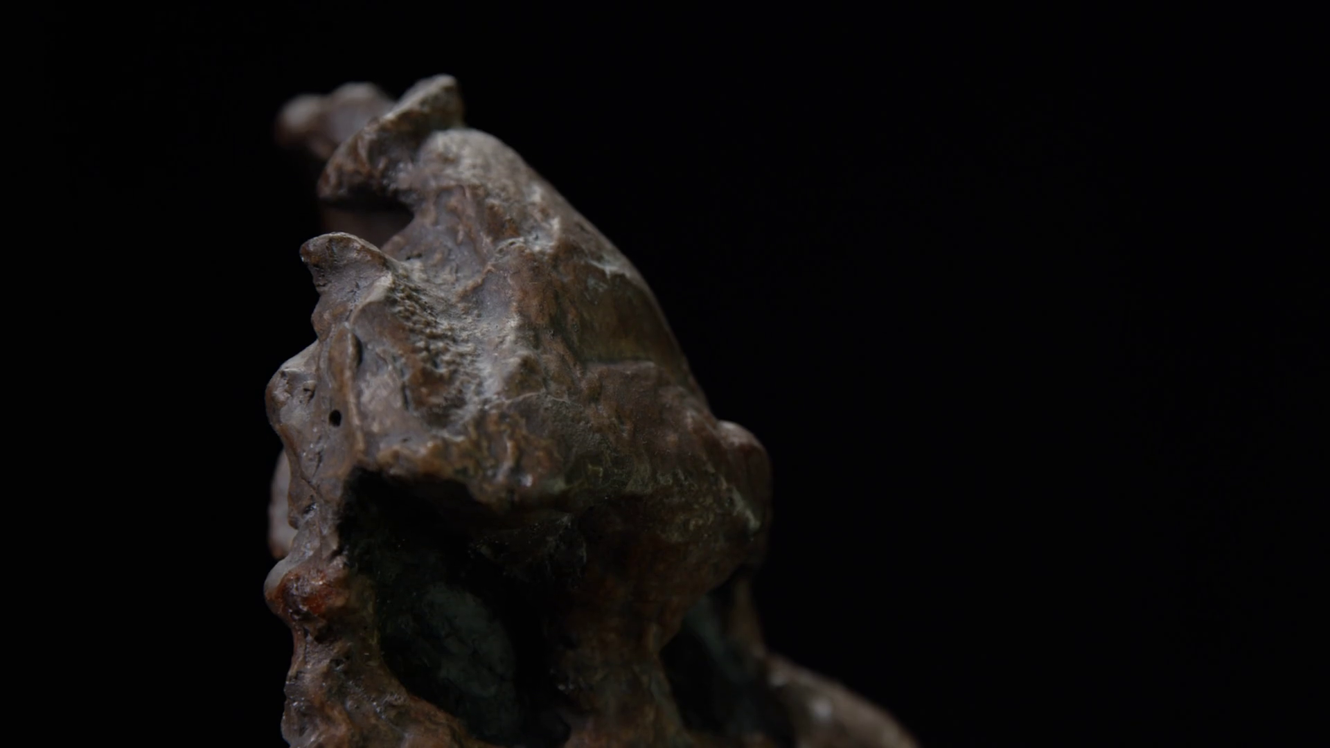 Evolution Of Humans Cavemen Skull Stock Footage SBV-347704609 - Storyblocks