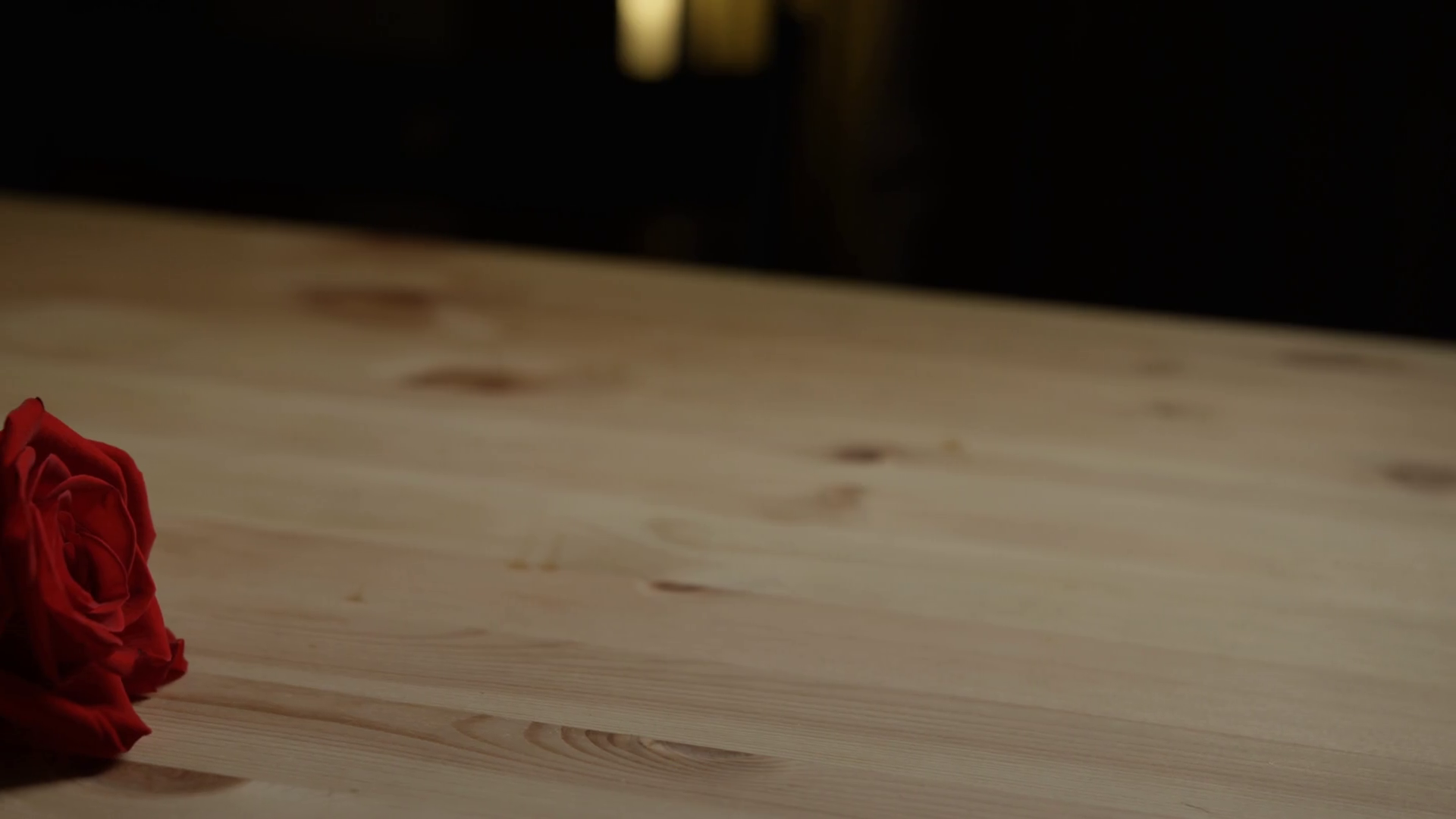 Romantic Imagery Skull Rose Pan Reveal On Stock Footage SBV-348399723 - Storyblocks