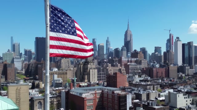 Anthill Stock Footage: Royalty-Free Video Clips - Storyblocks