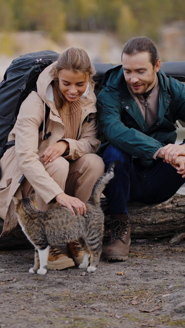 Partners Family Stock Footage: Royalty-Free Video Clips - Storyblocks