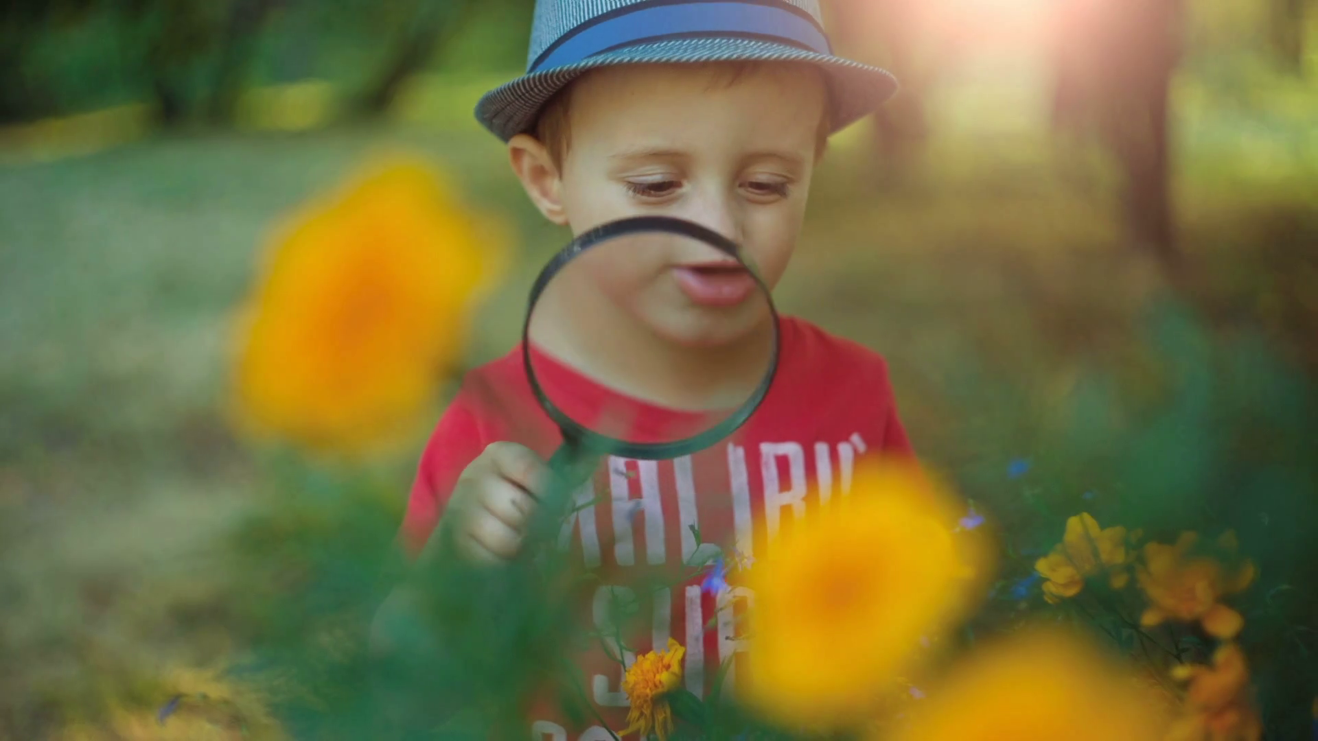 Boy Exploring Flowers With Magnifying Glass Stock Footage SBV-308918937 ...