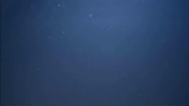 Particles Blue Background Stock Footage: Royalty-Free Video Clips ...