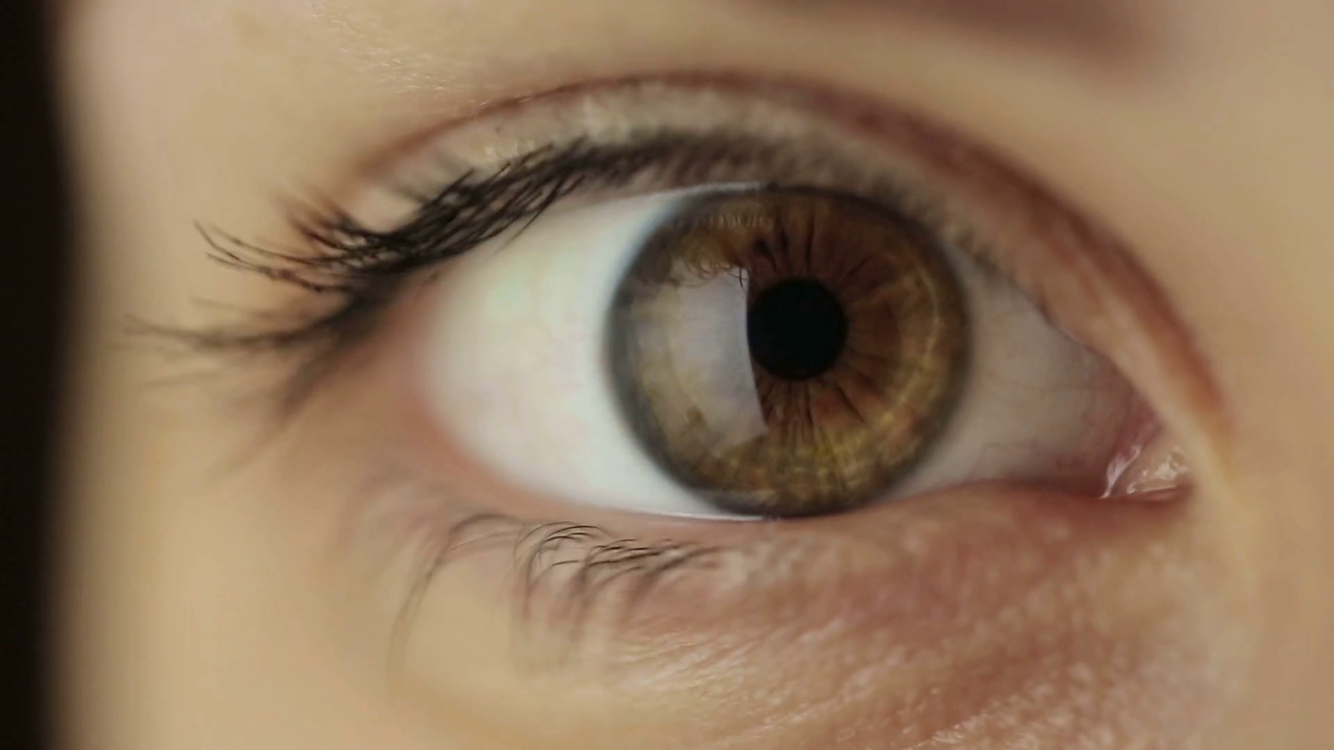 Eye Close Open Stock Footage SBV-306679361 - Storyblocks