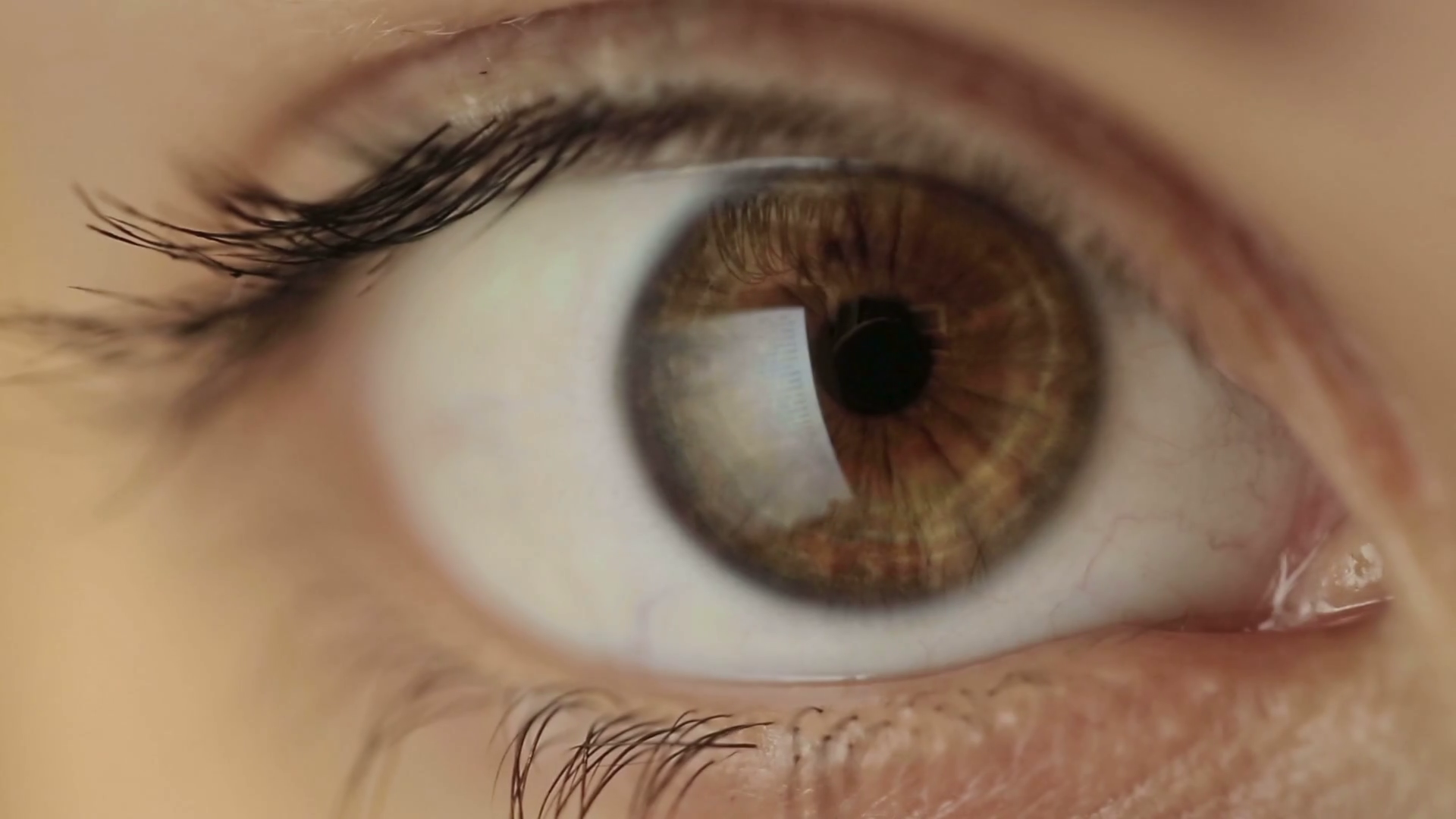 Female Eye Reading Stock Footage SBV-306679400 - Storyblocks