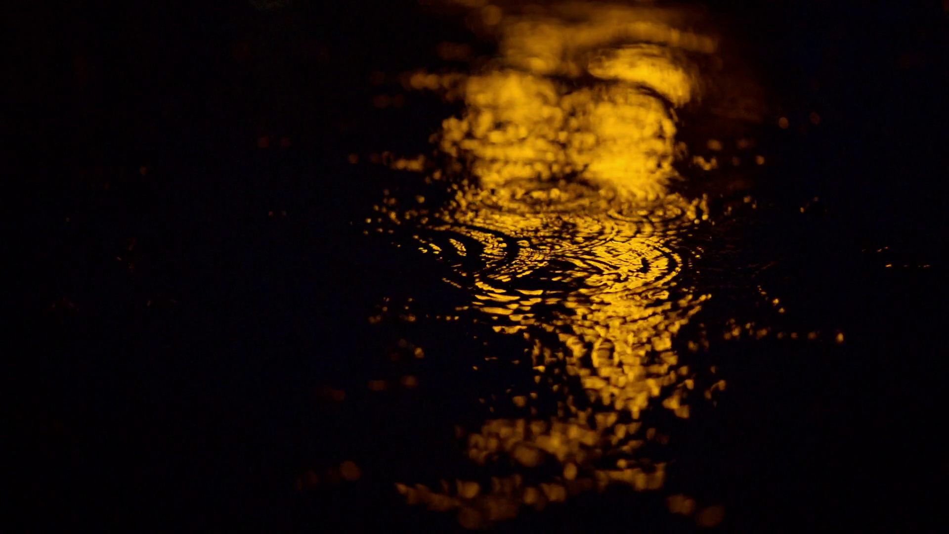 Raindrops On Puddle At Night Stock Footage SBV-307086541 - Storyblocks