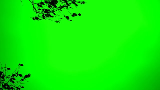 Storm Green Screen Stock Footage: Royalty-Free Video Clips - Storyblocks