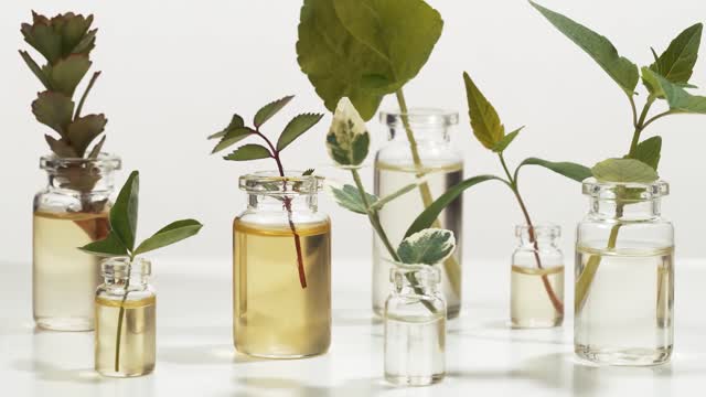 Herb Lab Stock Footage: Royalty-Free Video Clips - Storyblocks