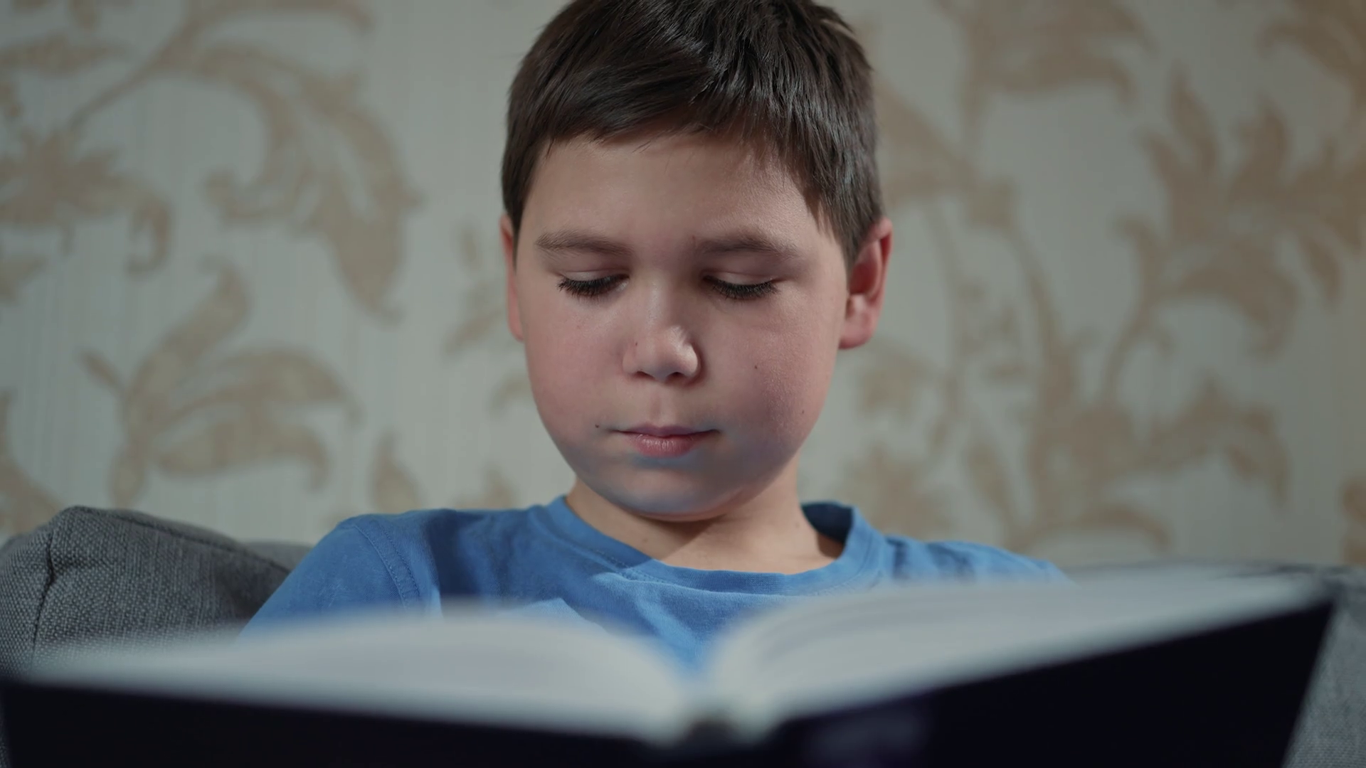 Boy Reads Book At Home Stock Footage SBV-347645309 - Storyblocks