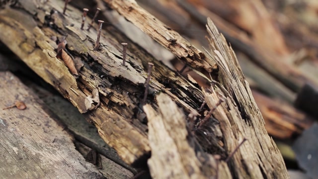 Decayed Structure Stock Footage: Royalty-Free Video Clips - Storyblocks