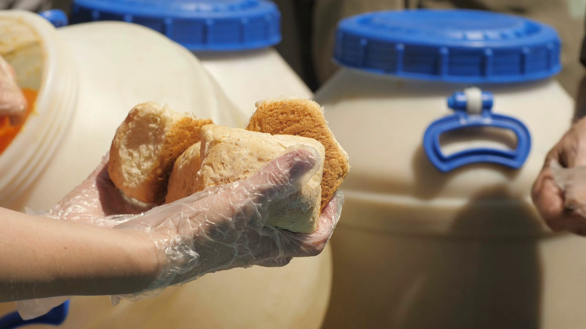 Bread Homeless People Stock Footage SBV-315865144 - Storyblocks