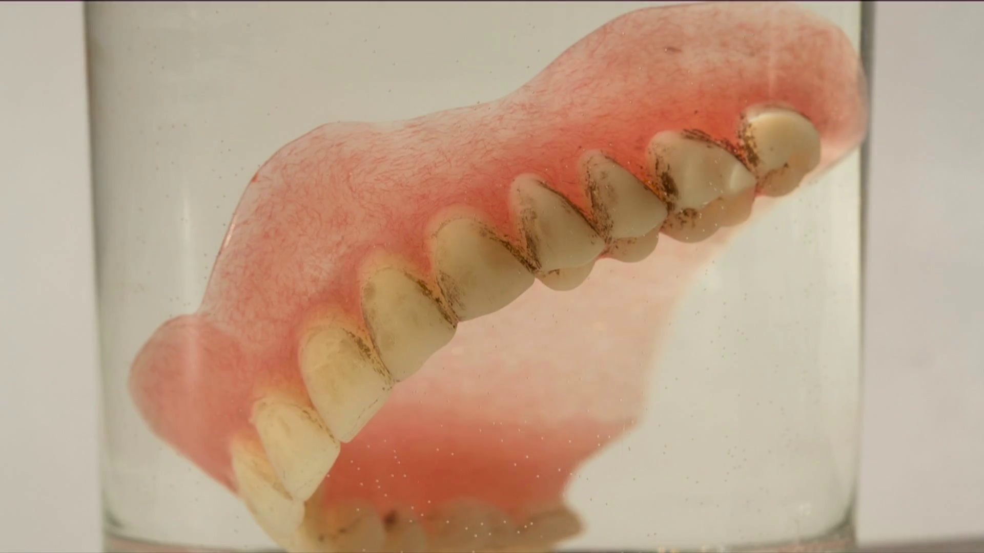 False Teeth In Glass Of Water Stock Footage SBV-313524126 - Storyblocks