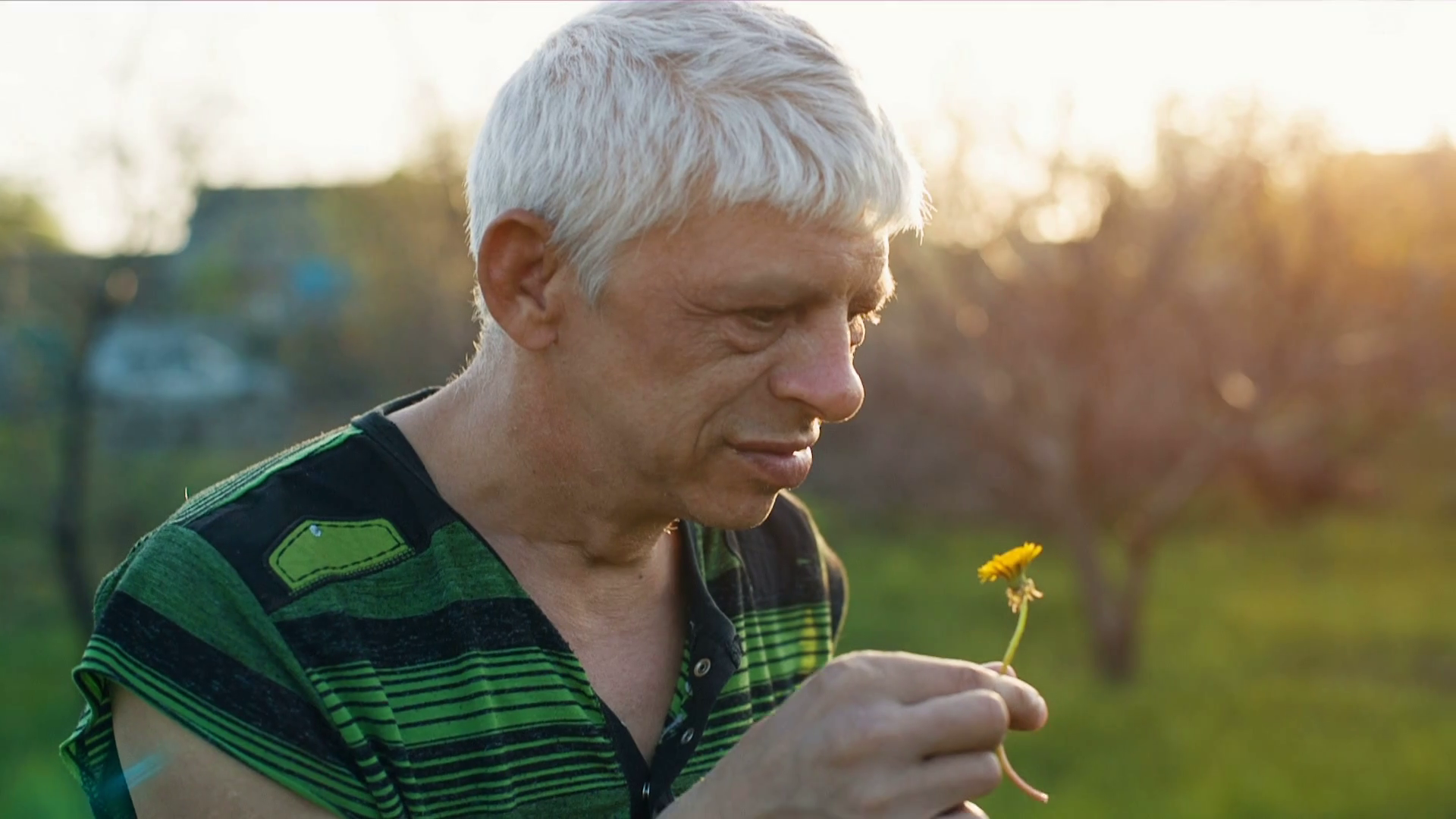 Funny Man Sniff Flower Stock Footage SBV-314550478 - Storyblocks