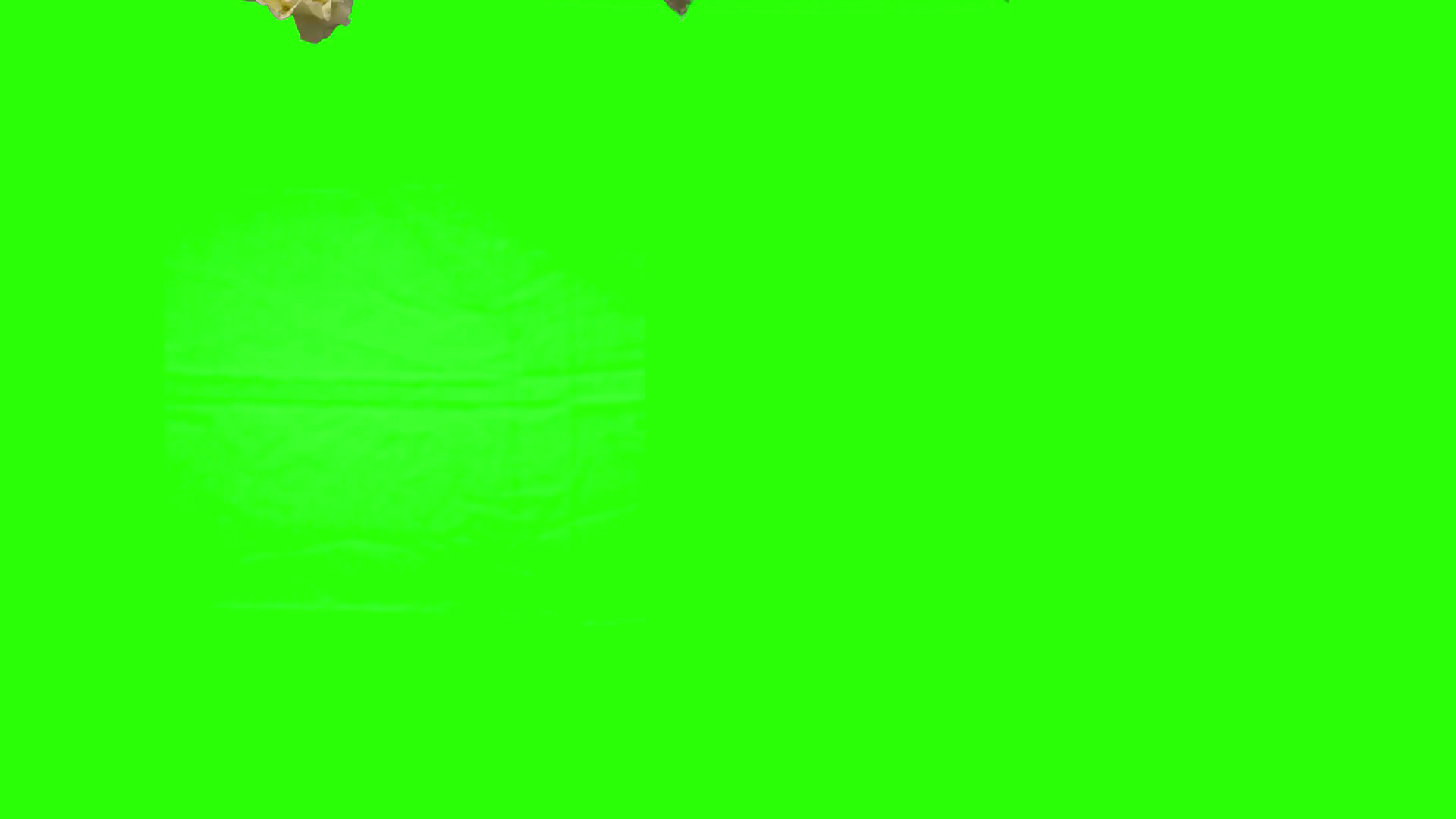 Roses Falling Down On Green Screen Stock Footage SBV-346610263 ...