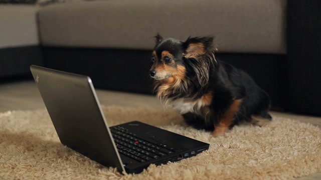 Checking Emails Stock Footage: Royalty-Free Video Clips - Storyblocks