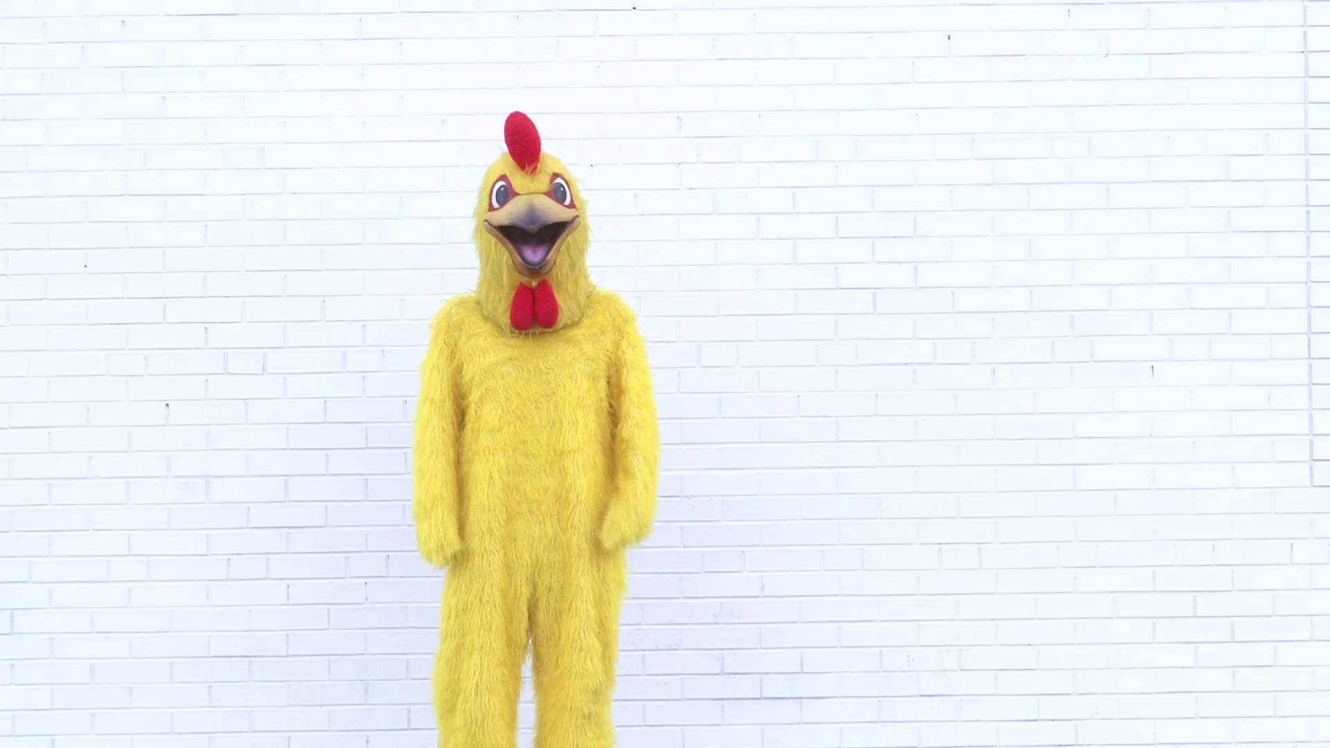 Chicken Doing Dance On Brick Background Stock Footage SBV-301055185 ...