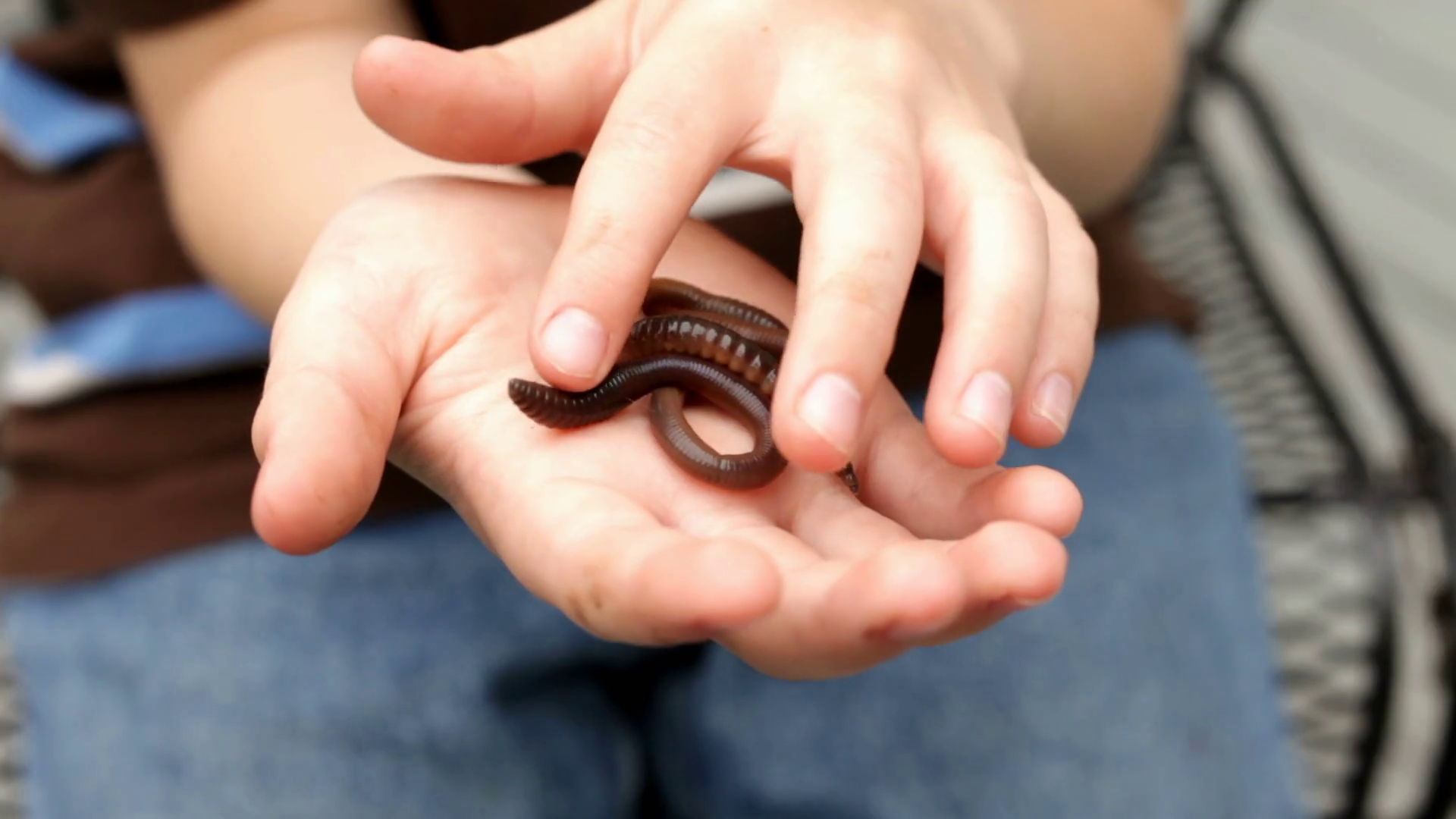 Child Petting Worm In Hand Stock Footage SBV-301082759 - Storyblocks