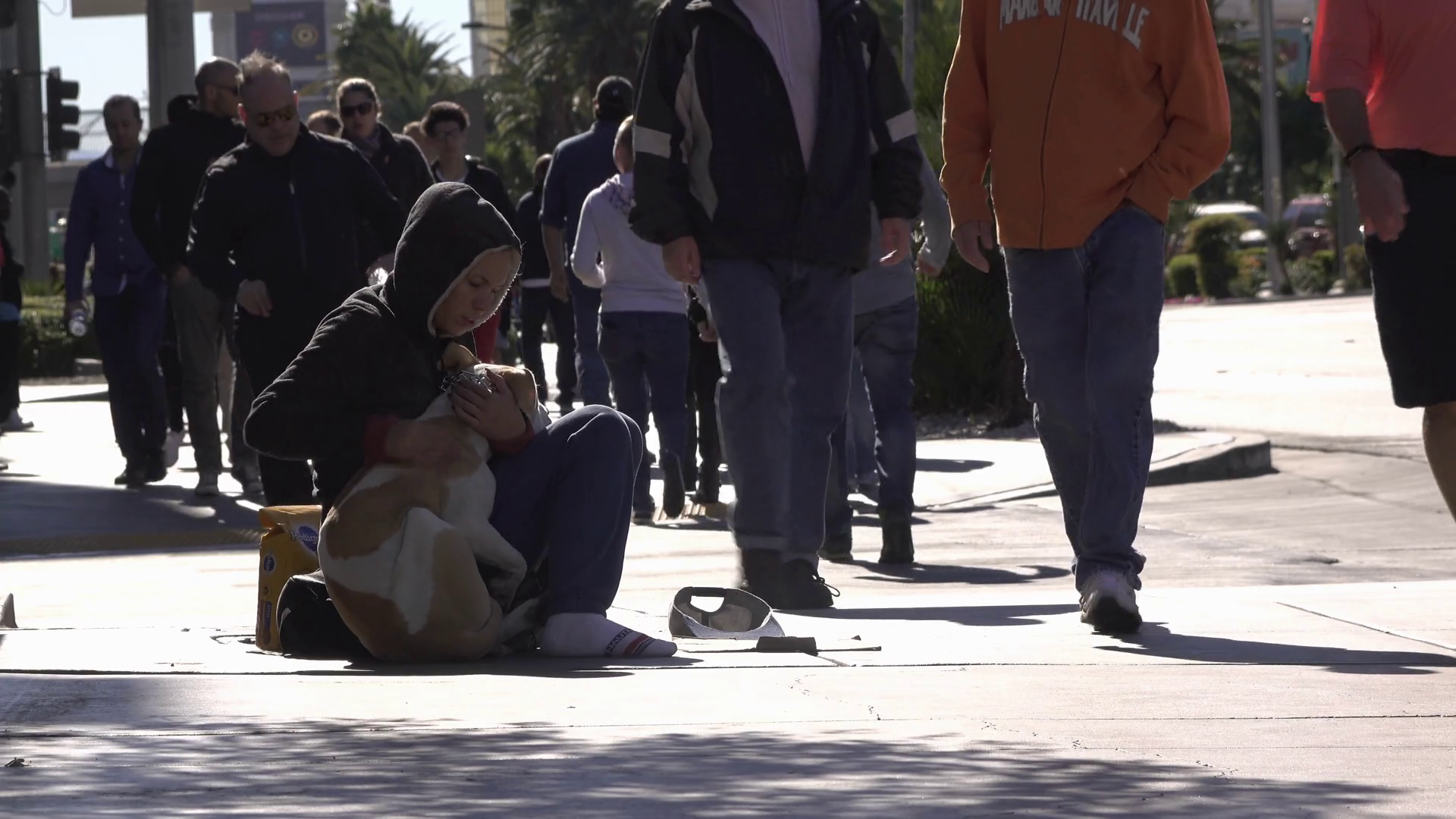 Homeless Woman Sitting With Dog On Streets Stock Footage SBV-312983550 ...