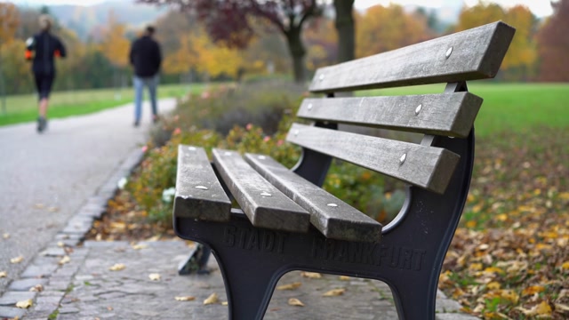 Park Bench Stock Footage: Royalty-Free Video Clips - Storyblocks