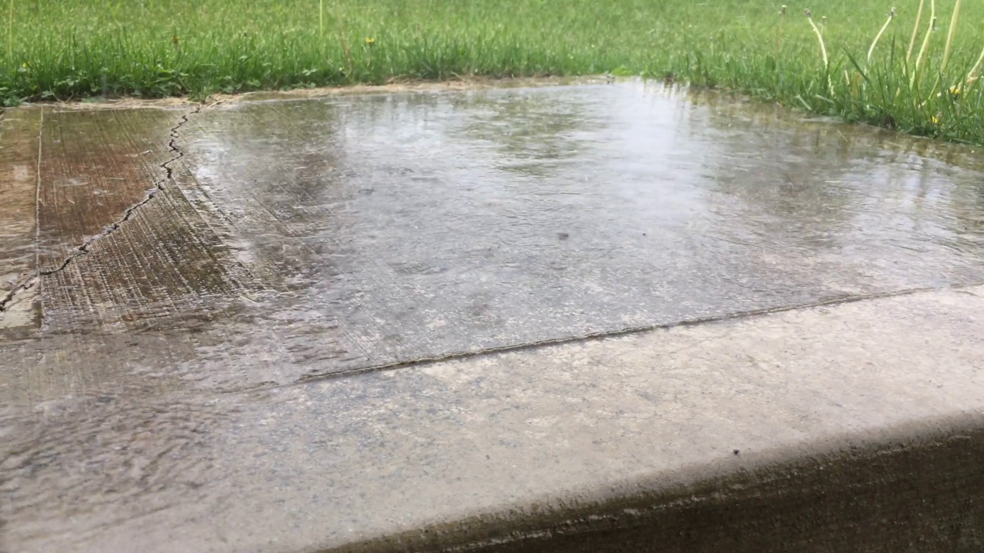 Raindrops Hitting Concrete Walkway Next To Stock Footage SBV-306906504 ...