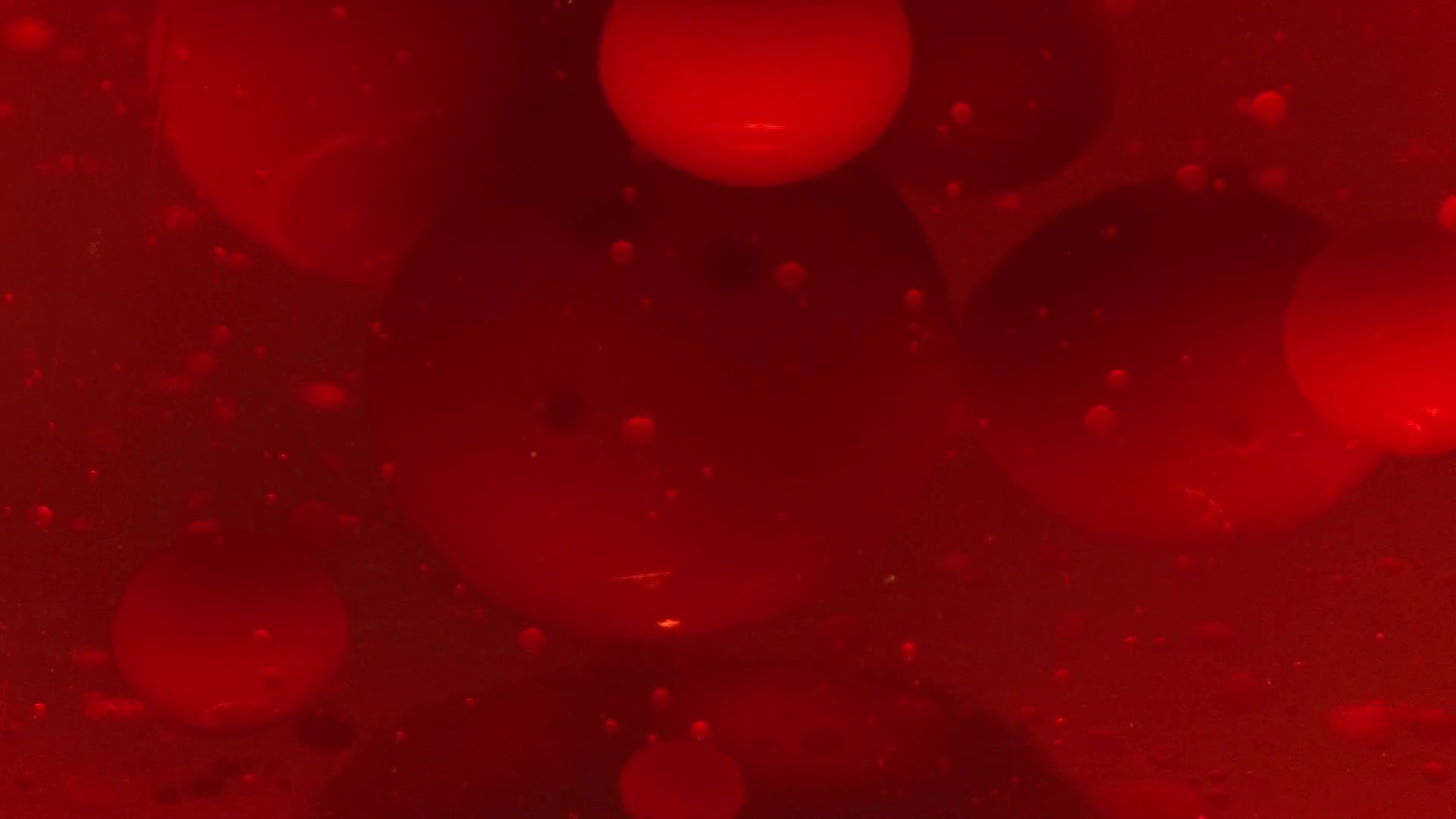 Red Liquid Bubbles Floating Stock Footage SBV-301055250 - Storyblocks
