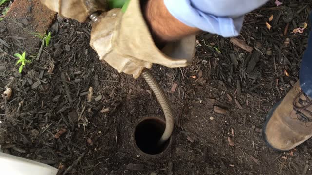 Snake Hole Stock Footage: Royalty-Free Video Clips - Storyblocks