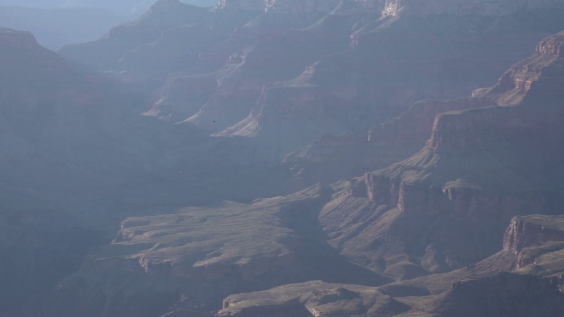 Tracking Hawks Flying In Grand Canyon Stock Footage SBV-301337934 ...