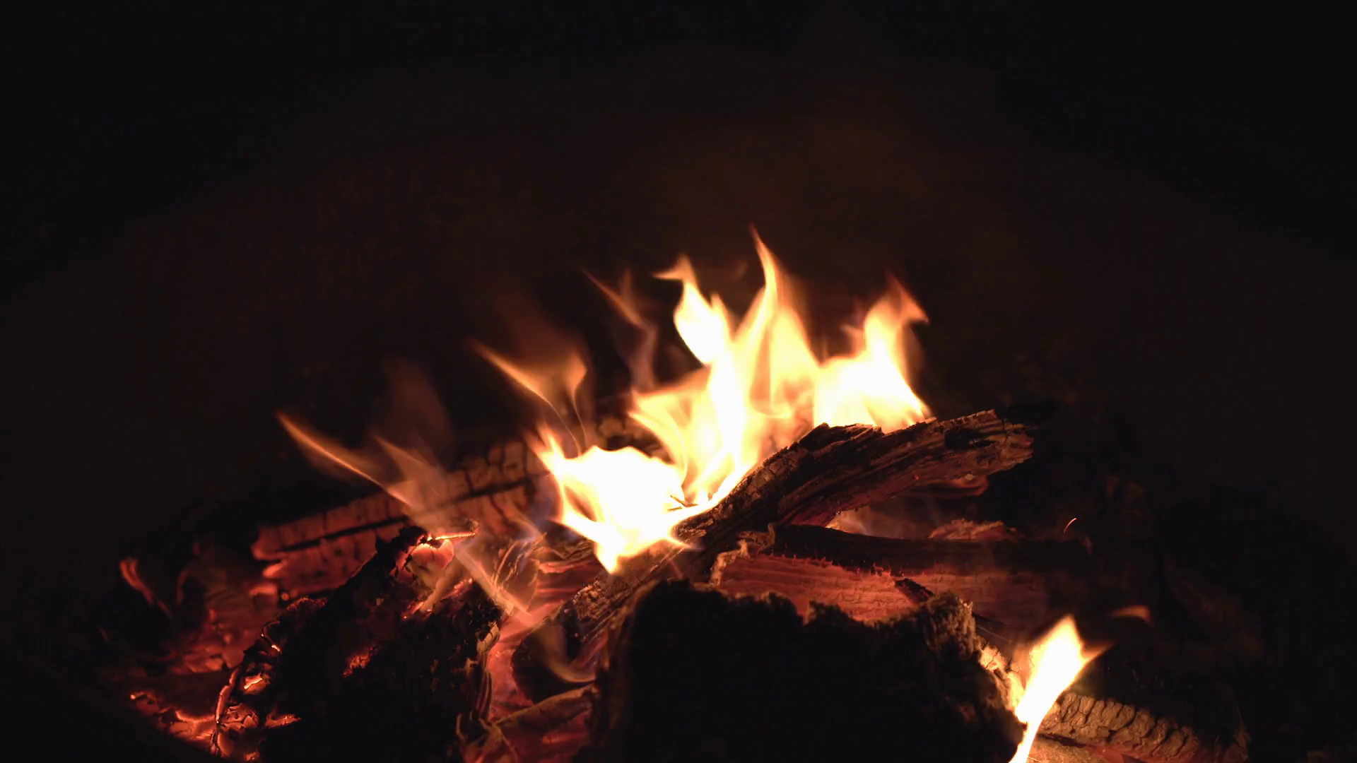 Flames of fire burning at night 4k Stock Video Footage 00:18 SBV ...