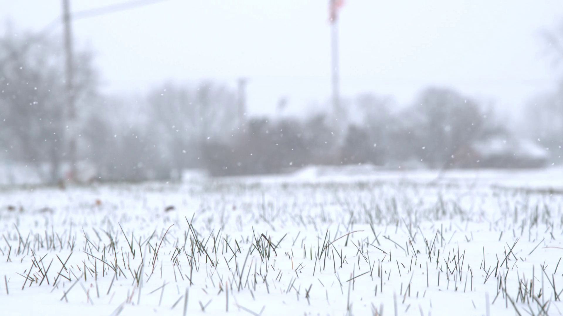 Snow Covered Grass With Flakes Still Falling Stock Footage SBV ...