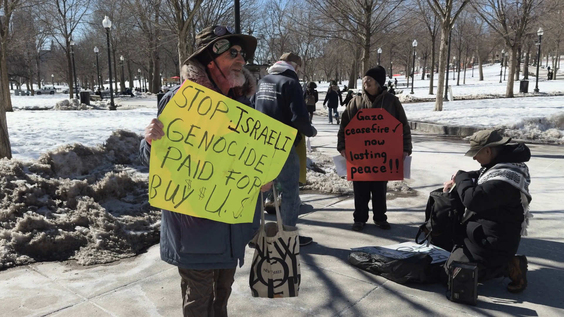 Stop Israeli Genocide Sign In Boston Common Stock Footage SBV-352353310 ...